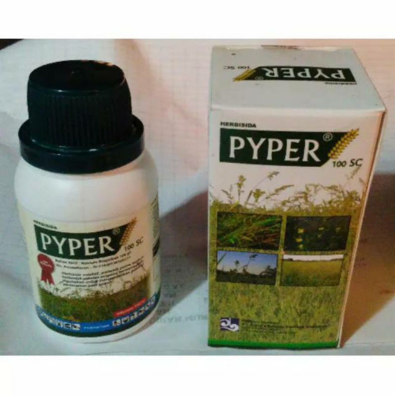 Harga pyper herbisida Terbaru Apr 2025 | BigGo Indonesia