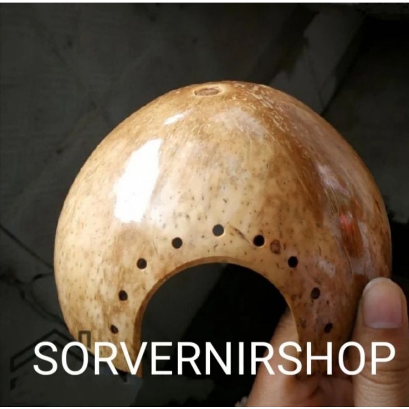 Jual Batok Kelapa/glodok tempat sembunyi hamster kelomang sugar kura ...