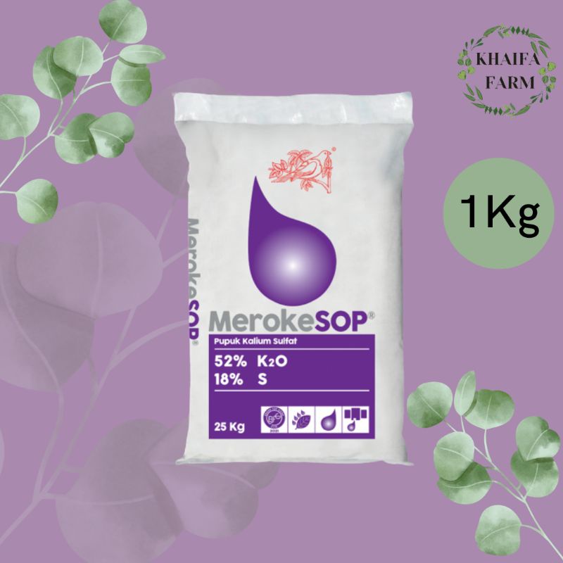 Jual Meroke SOP (1Kg) | Shopee Indonesia