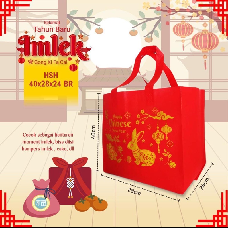 Jual RYAGAKO Goodie Bag Tas Spunbond Premium Kotak Nasi 24x24 cm Tas ...