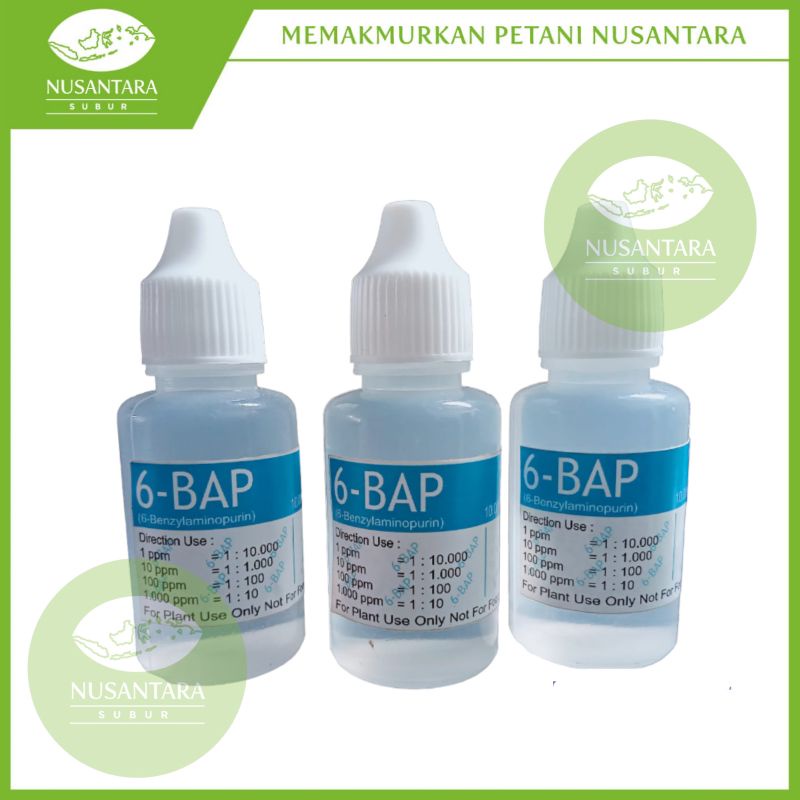 Jual HORMON BAP 6-BAP BENZYLAMINOPURIN 10.000 ppm Hormon Pertumbuhan ...