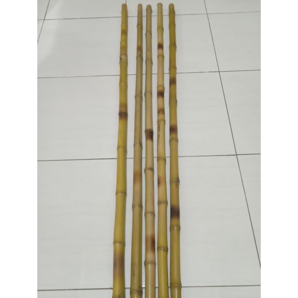 Jual TONGKAT PRAMUKA T160 CM OPEN BERSIH LURUS MEGKILAT BAMBU CENDANI ...
