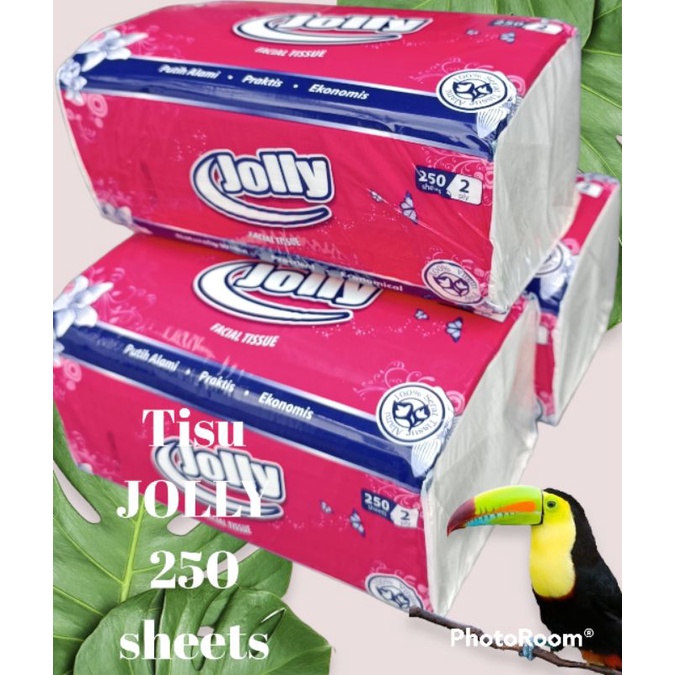 Jual TISU JOLLY TISSU JOLLY TISSUE JOLLY 250 SHEETS | Shopee Indonesia
