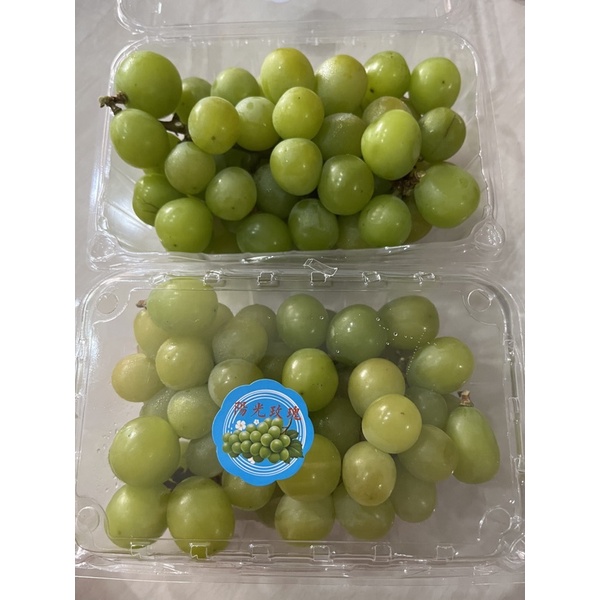 Jual Anggur Muscat Jepang fresh Hijau manis segar crunchy | Shopee ...