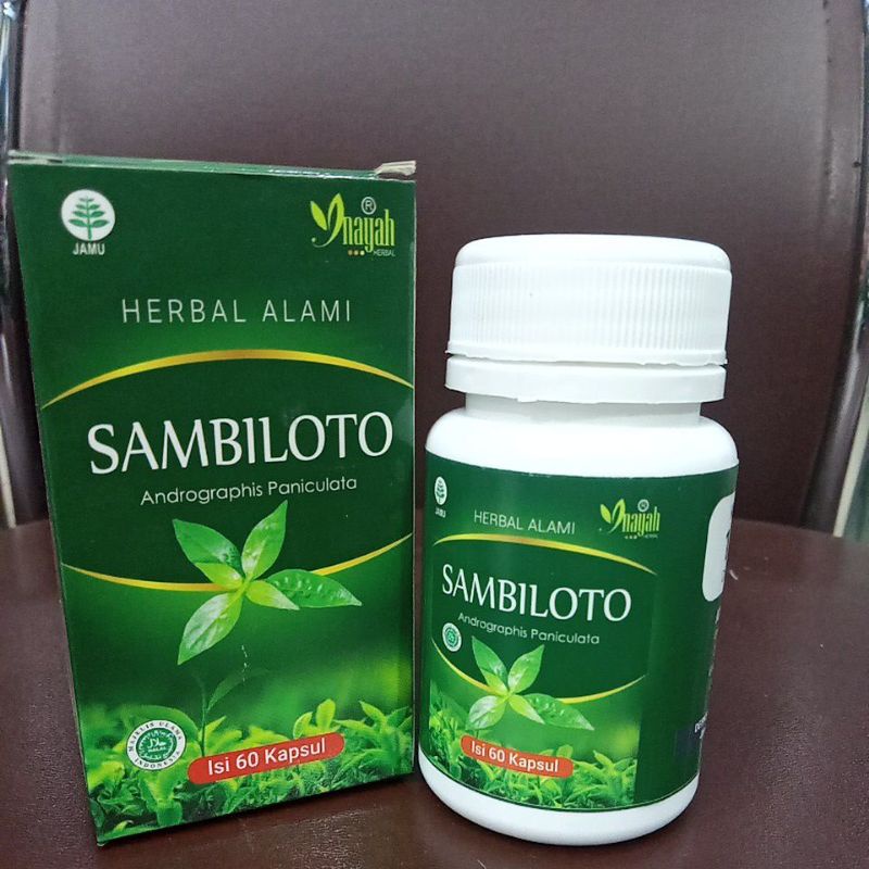 Jual JAMU SAMBILOTO JAMU HERBAL ALAMI SAMBILOTO ANDROGRAPHIS PANICULATA ...