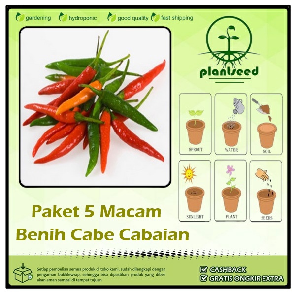 Jual Paket 5 Macam Benih Cabe Cabai Rawit Merah Hijau Putih Keriting ...