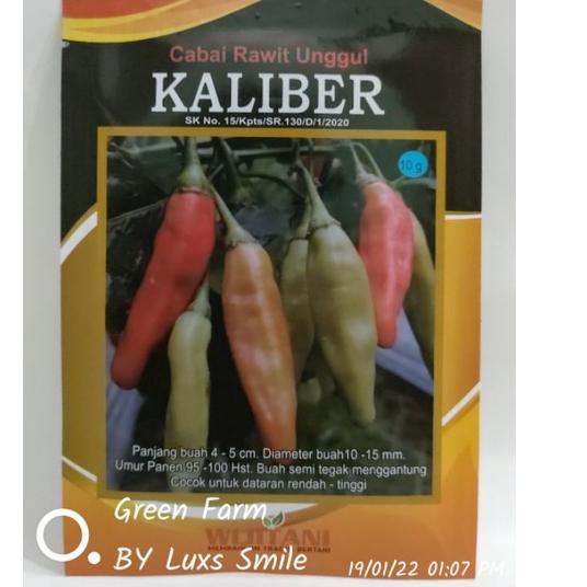 Jual ALI365 CRM KALIBER Cabe Rawit Merah Kaliber Buah Lebat Kemasan ...