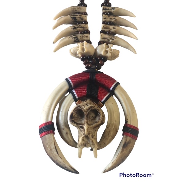 Jual kalung taring babi khas dayak kalimantan tengkorak kecil | Shopee Indonesia