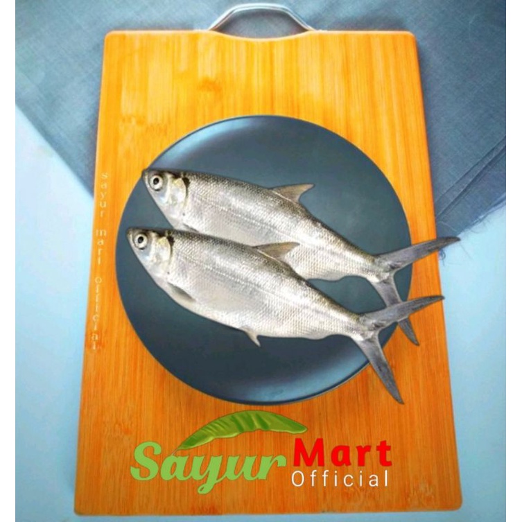 Jual Ikan Bandeng Segar 500 gr | Shopee Indonesia
