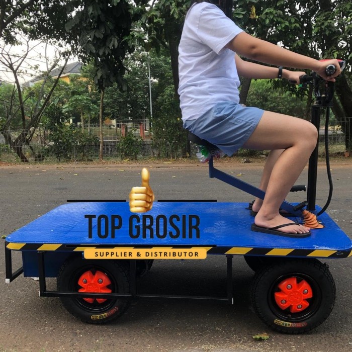 Jual Trolley Elektrik Troli Electric Alat Angkut Barang Uk 1m x 0,75 ...