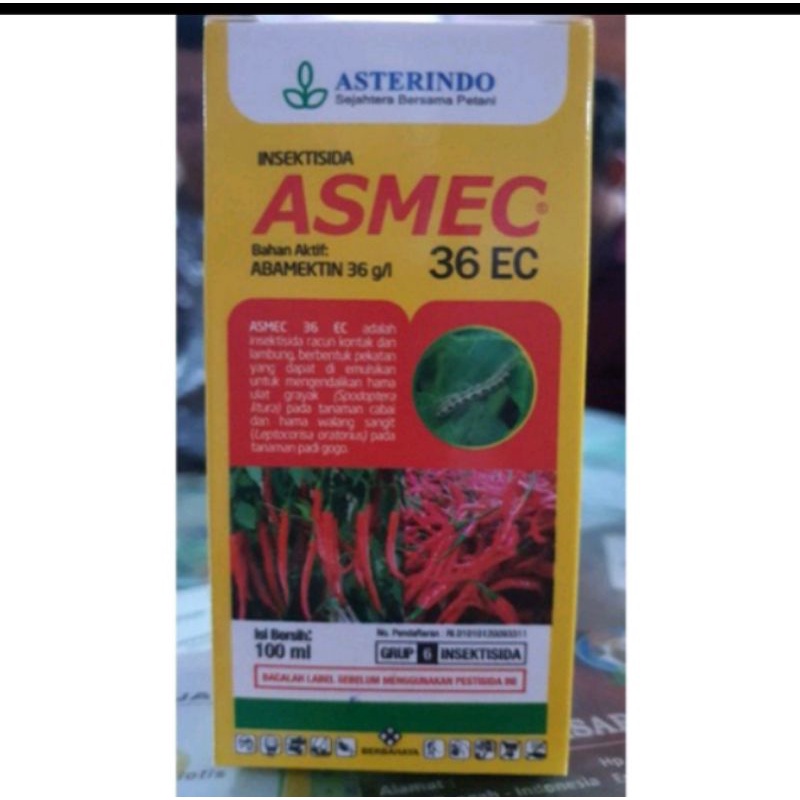 Harga Asterindo Terbaru Sep 2025 | BigGo Indonesia