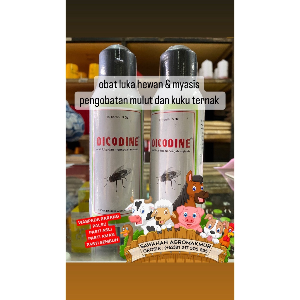 Harga Dicodine Terbaru Mei 2023 |BigGo Indonesia
