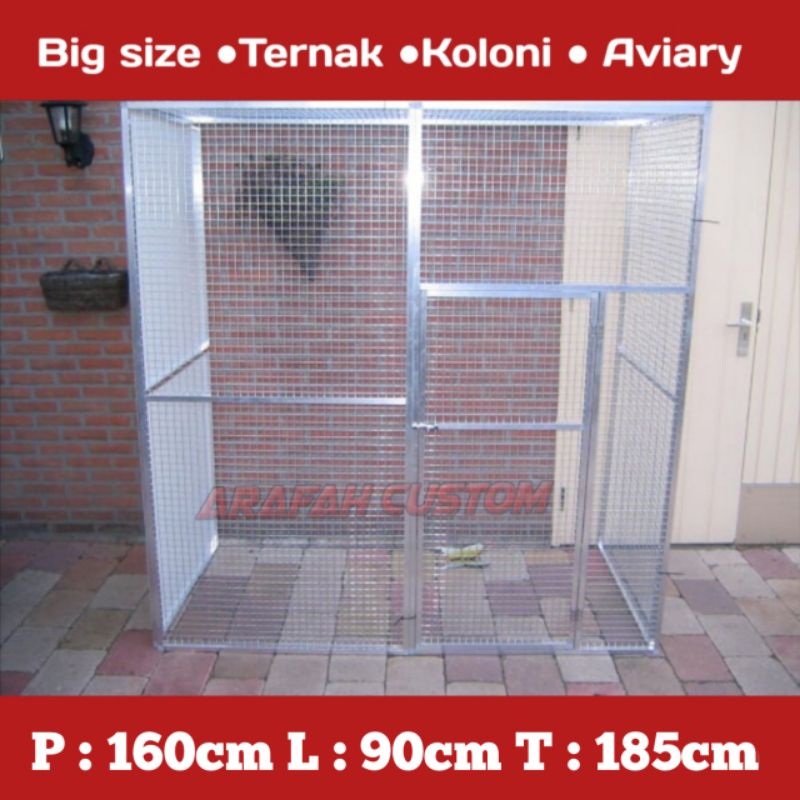 Jual Sangkar Kandang Burung Koloni Aviary Kotak Jumbo Lovebird Nuri ...