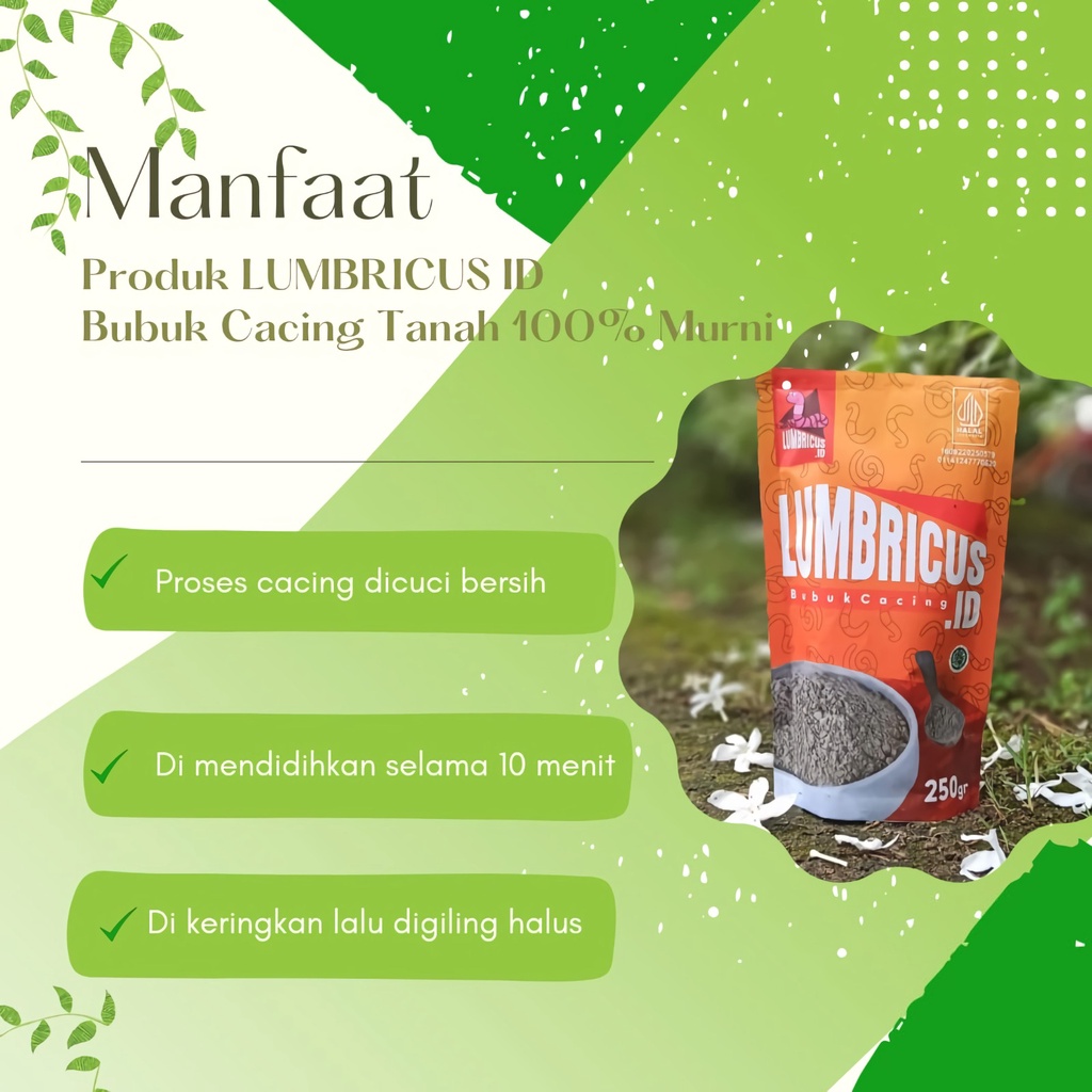 Jual Serbuk Cacing Tanah Lumbricus Rubeluss Extract Cacing Tanah Asli ...