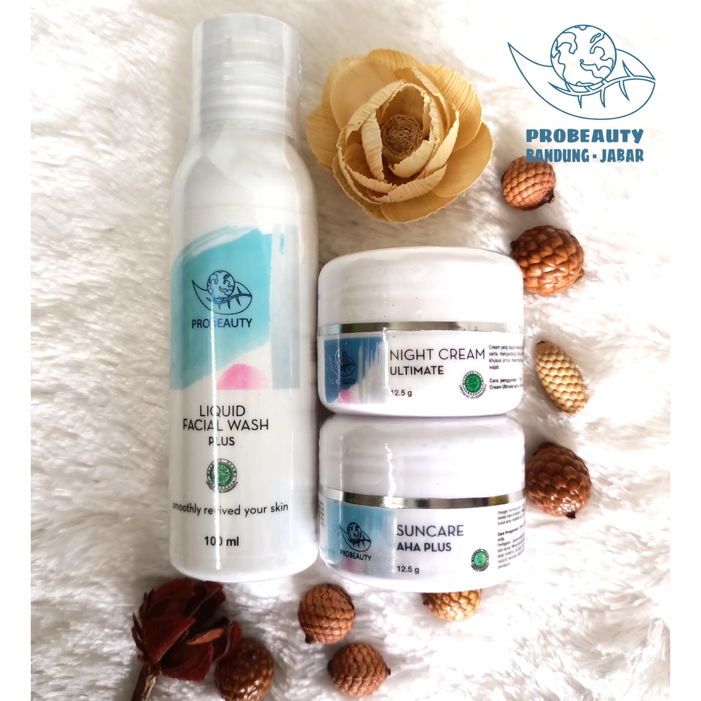 Jual Probeauty Paket Aha Plus Untuk Atasi Masalah Fek dan Melasma ...