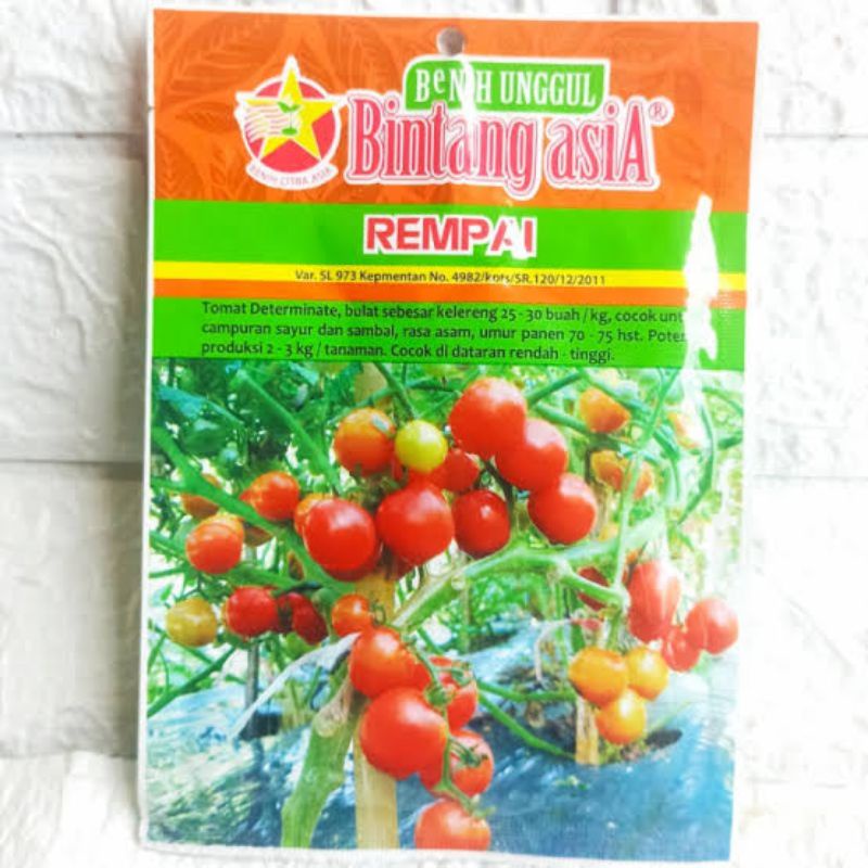 Jual Benih Tomat Rampai Rempai 10Gram @Cap Bintang Asia | Shopee Indonesia