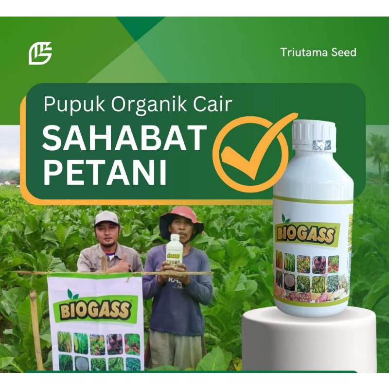 Harga Biogass Terbaru Februari 2024 |BigGo Indonesia