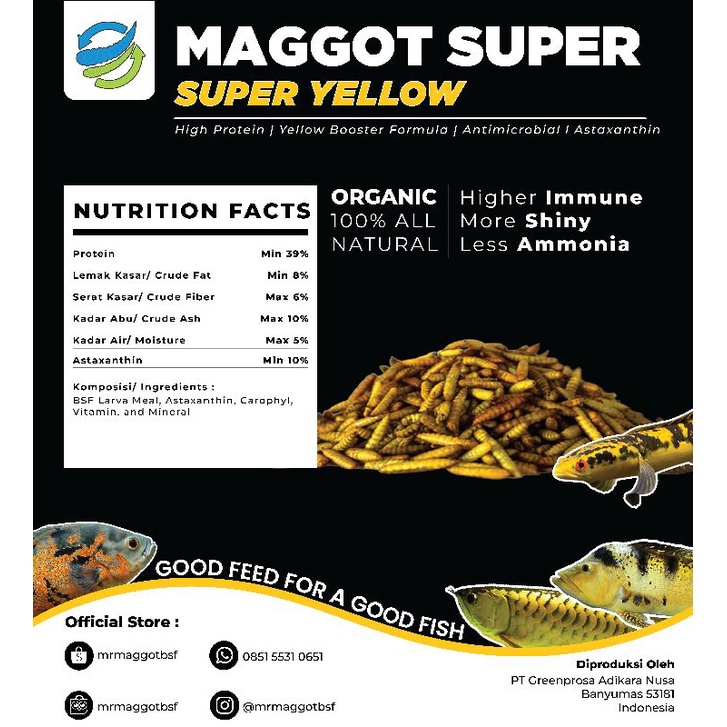 Jual MR MAGGOT - Super Yellow/Maggot Kering 50gram | Shopee Indonesia
