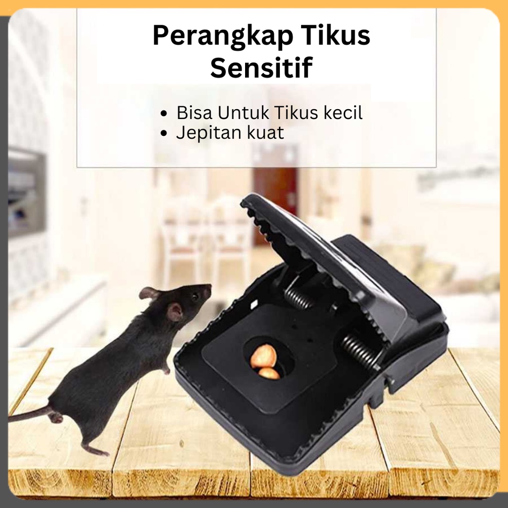 Jual Perangkap Tikus Ampuh Sensitif Trap Black Mouse | Shopee Indonesia