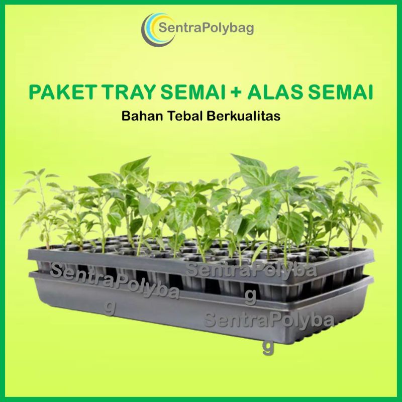 Jual Paket Tray Semai Potray Pot Semai dan Alas Tray 32 50 72 98 105 ...