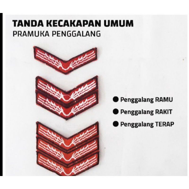 Jual TKU Tanda kecakapan Umum Pramuka Penggalang RAMU RAKIT TERAP | Shopee Indonesia