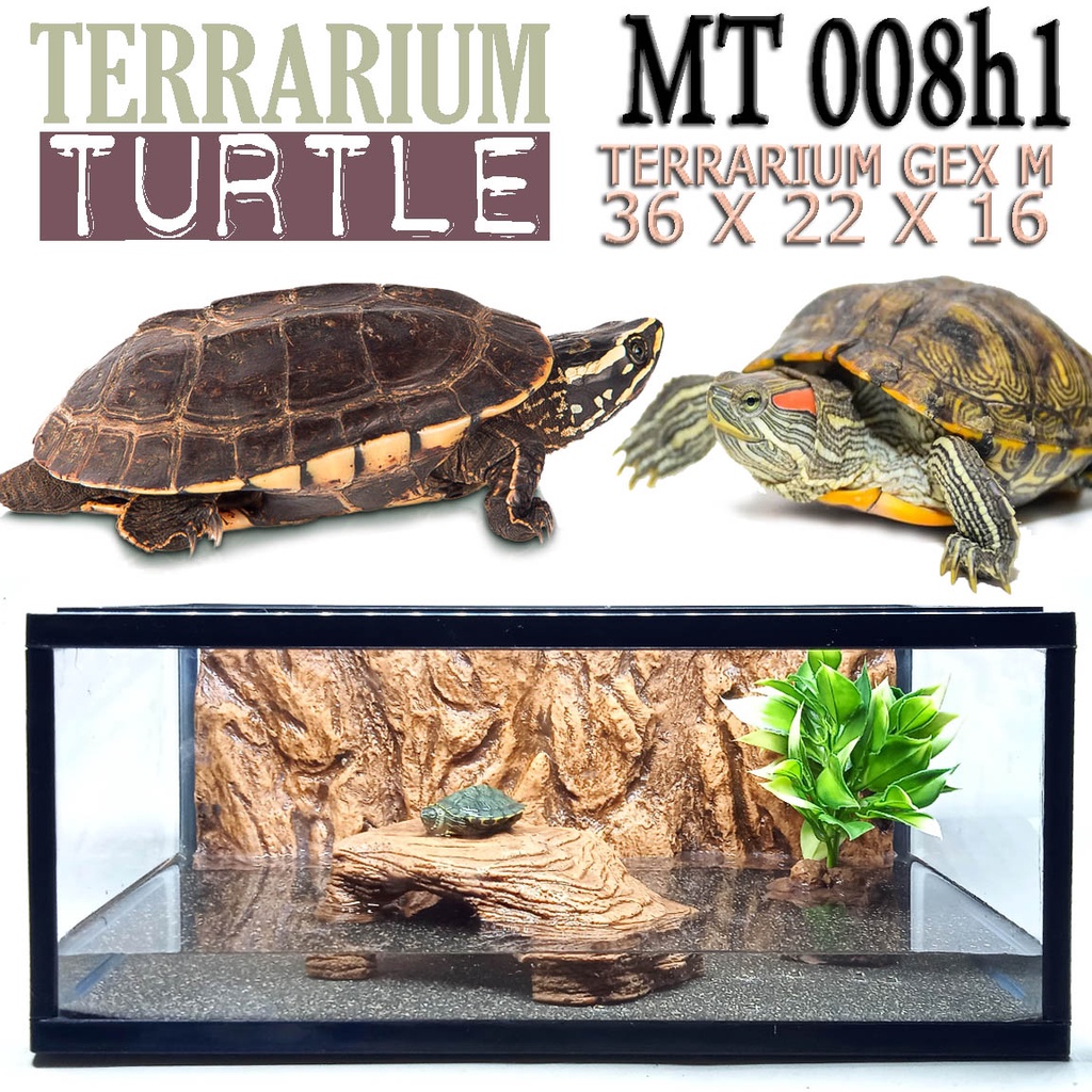 Jual MT008H1 AKUARIUM TERRARIUM REPTILE KANDANG KURA KURA AIR TURTLE RES BRAZIL KURA AMBON DAMER ...