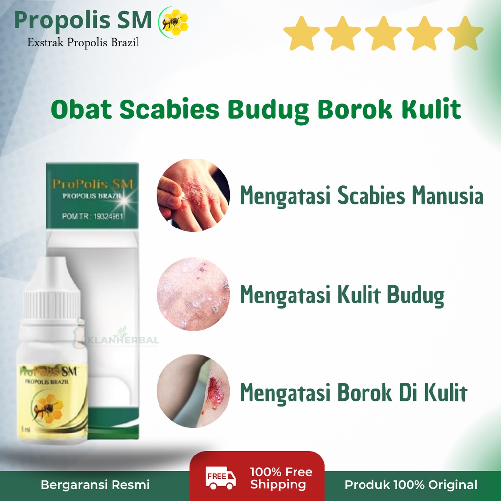 Jual Obat Scabies Manusia, Obat Budug Kulit Gatal, Obat Borok Bernanah ... Jual Obat Scabies Manusia, Obat Budug Kulit Gatal, Obat Borok Bernanah ...
