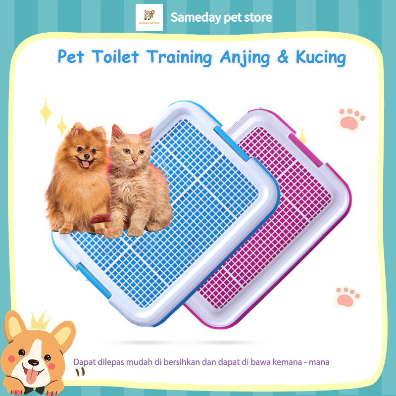 Harga toilet kucing training pad Terbaru Jun 2025 | BigGo Indonesia