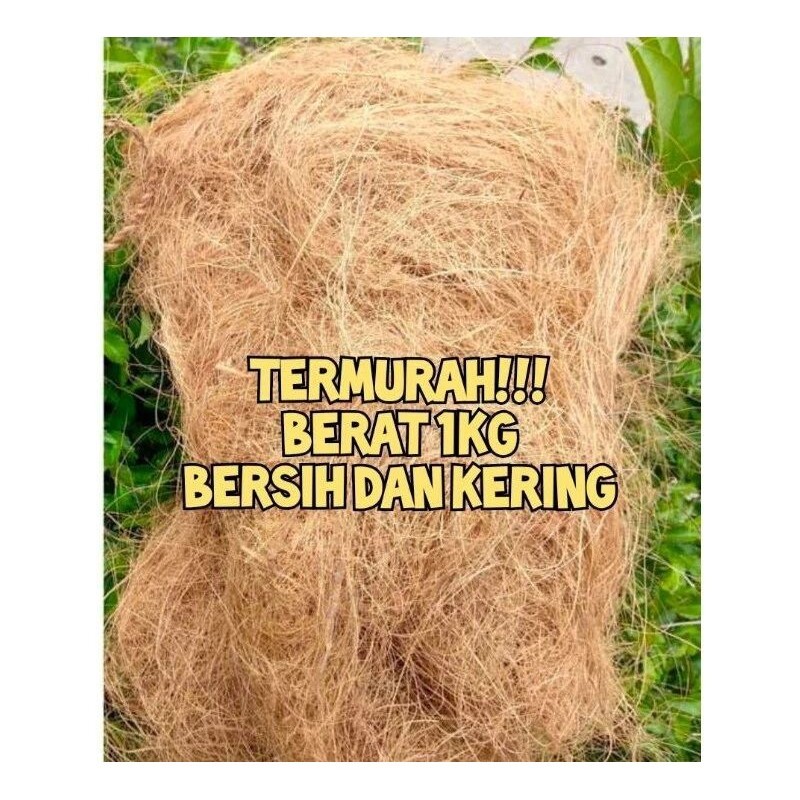 Harga Serabut Kelapa Kering Terbaru Mar 2025 | BigGo Indonesia