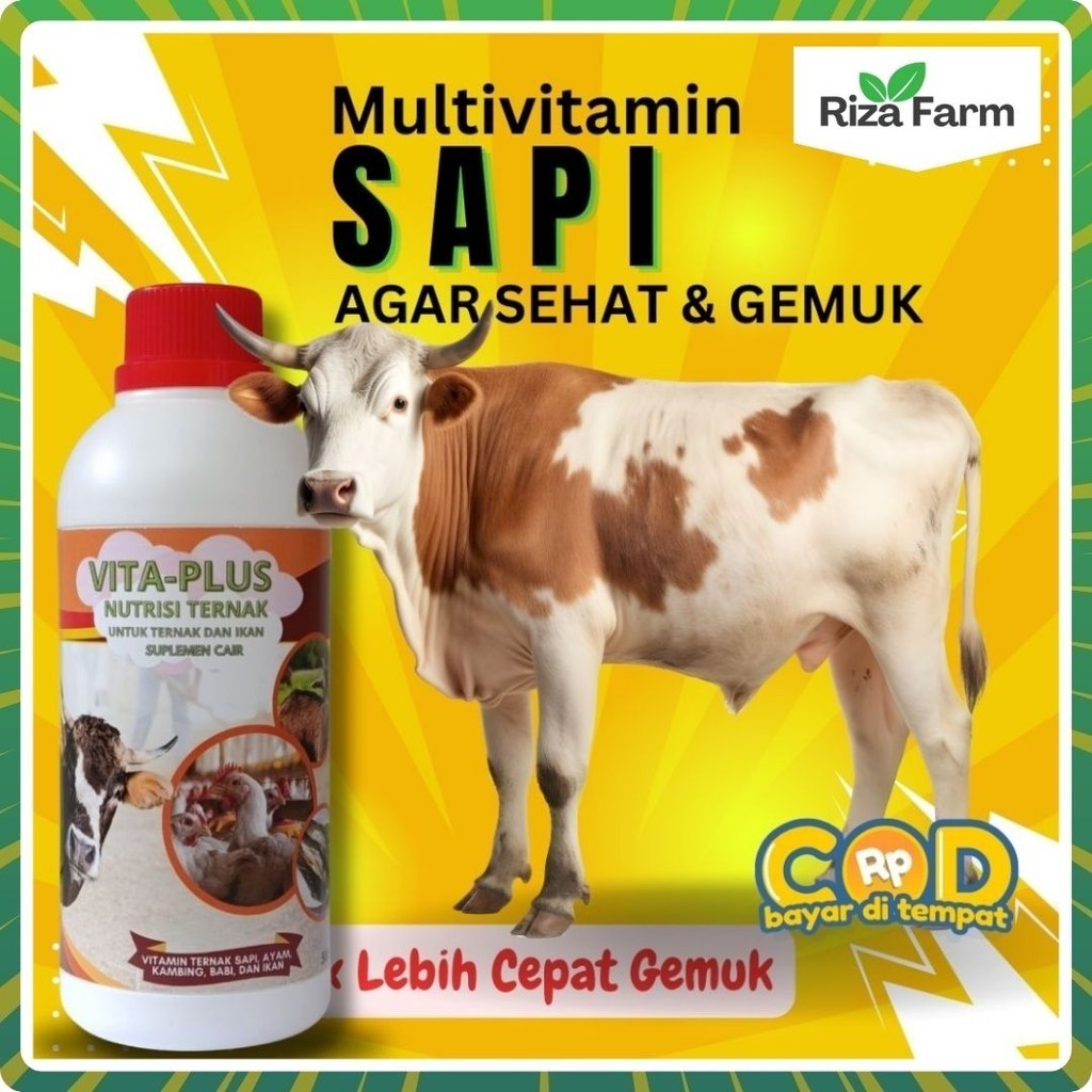 Harga limpah sapi Terbaru Mei 2025 | BigGo Indonesia