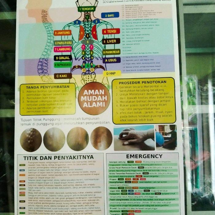 Harga Totok Punggung Terbaru Jun 2026 | BigGo Indonesia