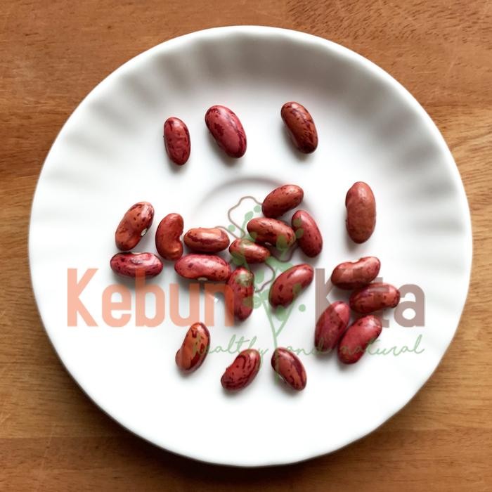 Harga Kacang Merah 1KG Organik Terbaru Mar 2026 | BigGo Indonesia