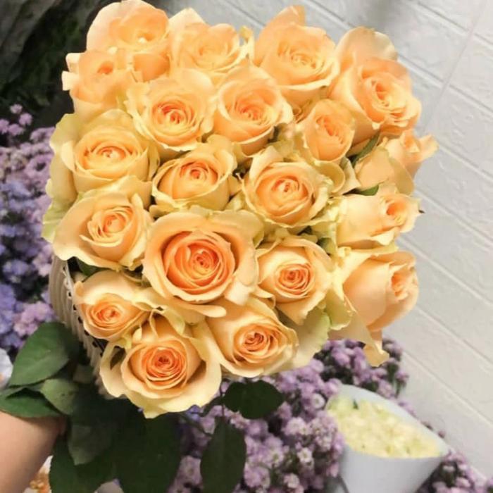 Harga mawar asli peach Terbaru Feb 2026 | BigGo Indonesia